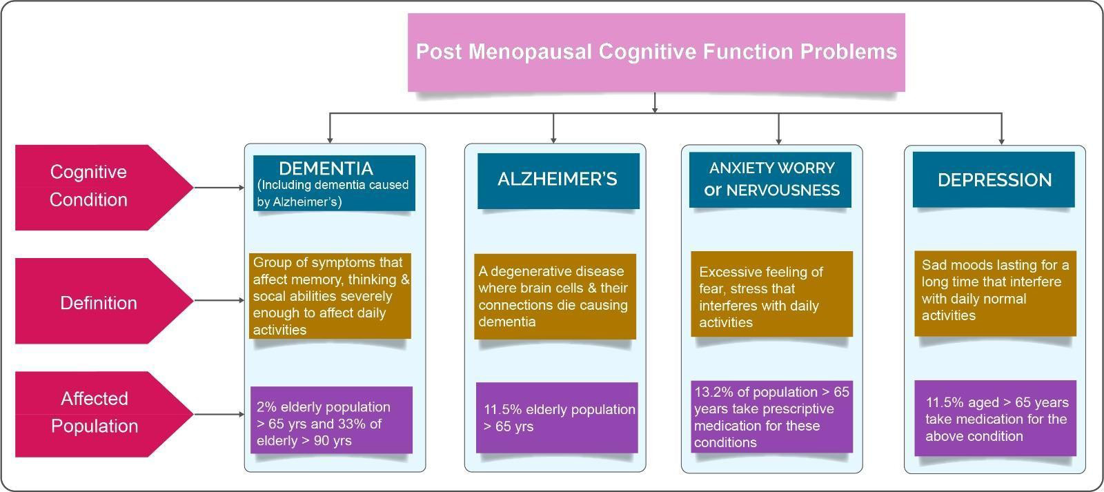 Cognitive Health and Menopause: Symptoms, Causes & Treatment